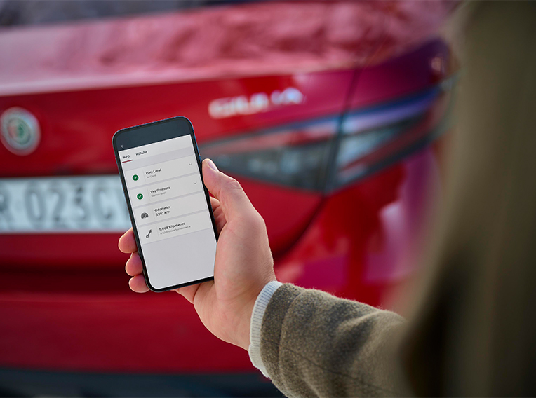 Alfa Connect Services